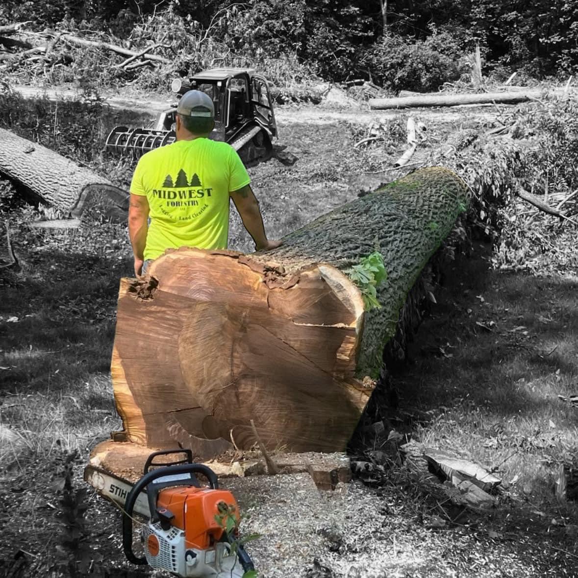 Midwest Walnut Buyers LLC Family Owned and Operated Timber Company ...