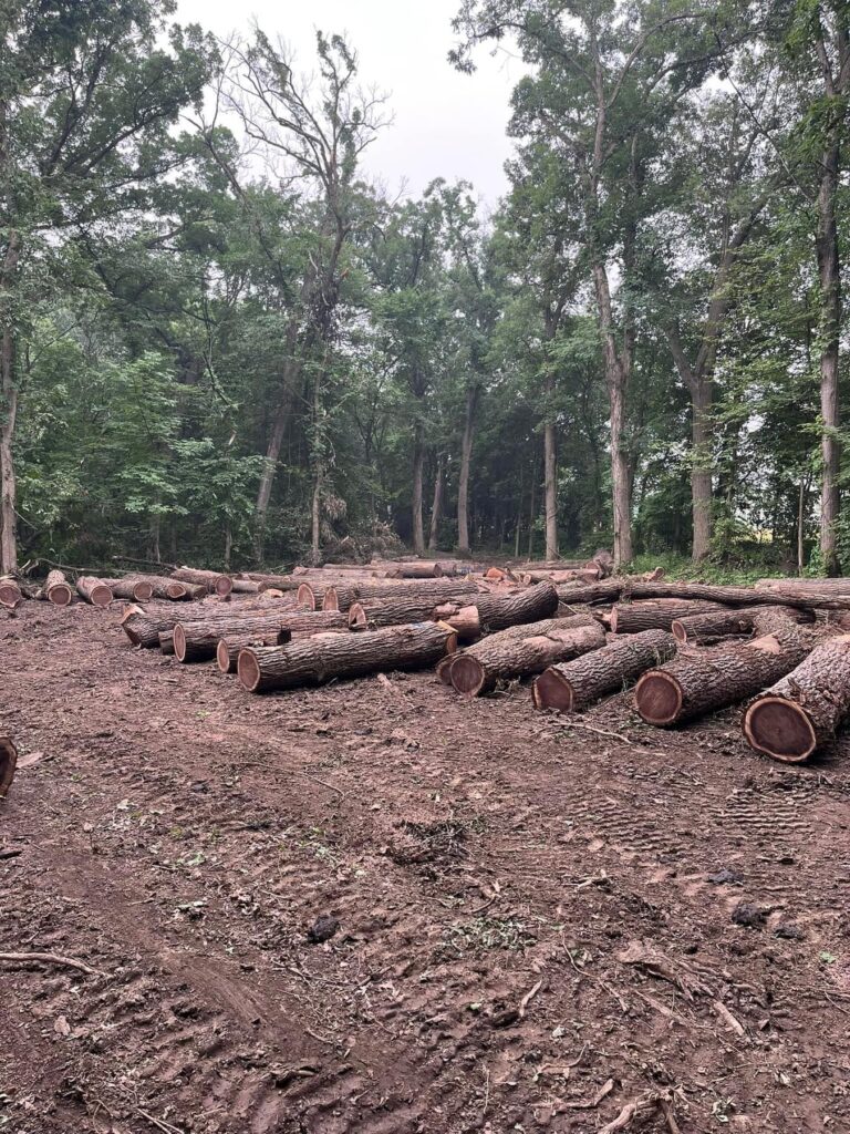 Midwest Walnut Buyers LLC Family Owned and Operated Timber Company ...